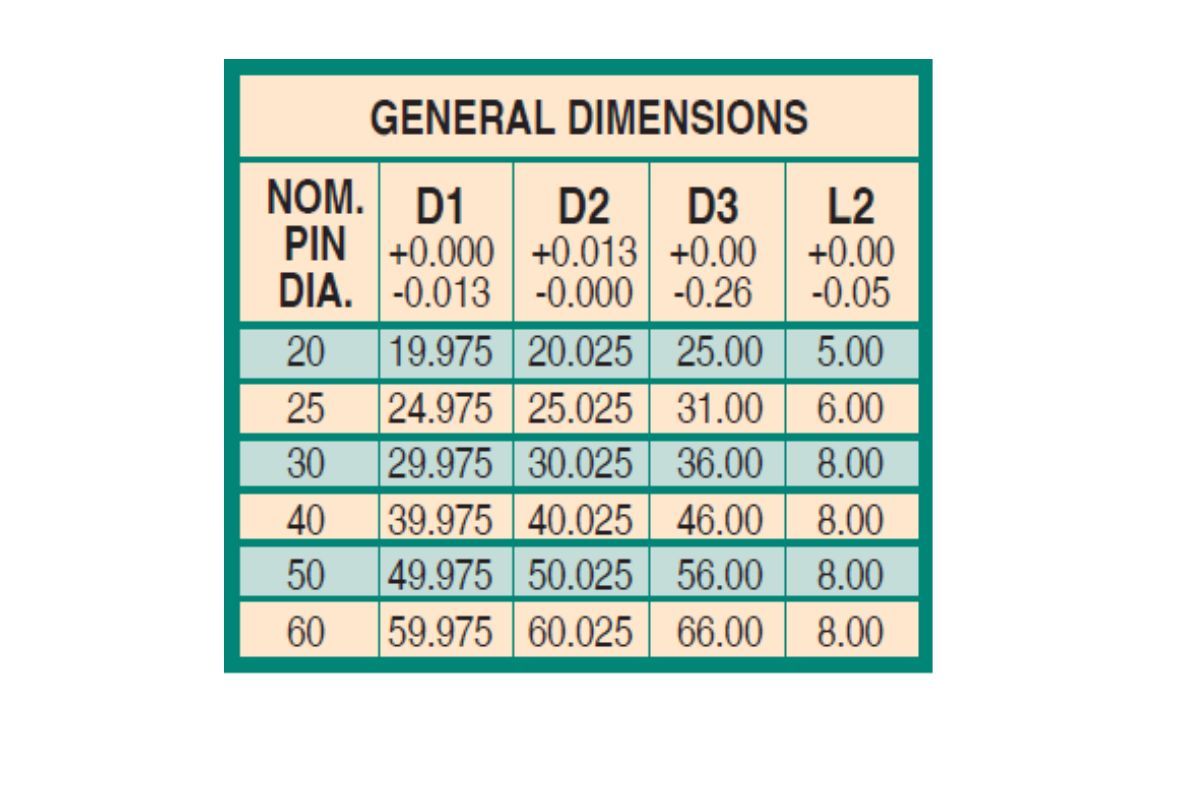 Leader Pins - Metric | 50mm | 20mm | MLP20x50